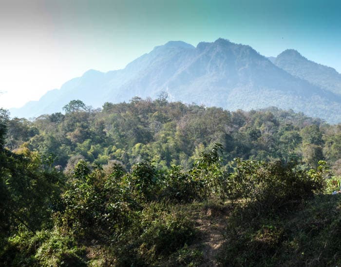 Samoeng Loop and Mae Sa Valley: A day trip outside of Chiang Mai | The ...