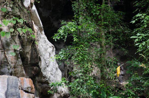 Samoeng Loop and Mae Sa Valley: A day trip outside of Chiang Mai | The ...