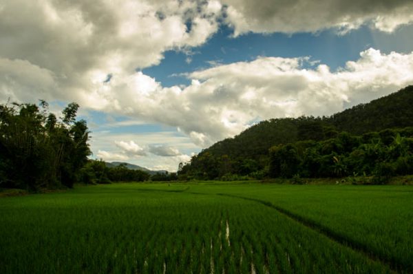 Samoeng Loop and Mae Sa Valley: A day trip outside of Chiang Mai | The ...